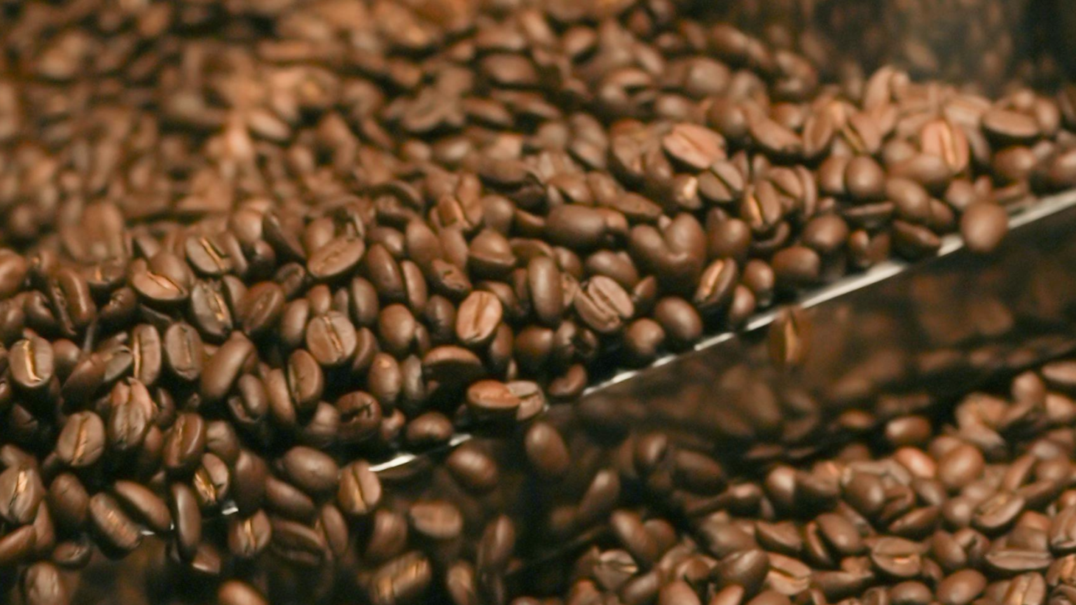 Archduke Coffee + Roastery