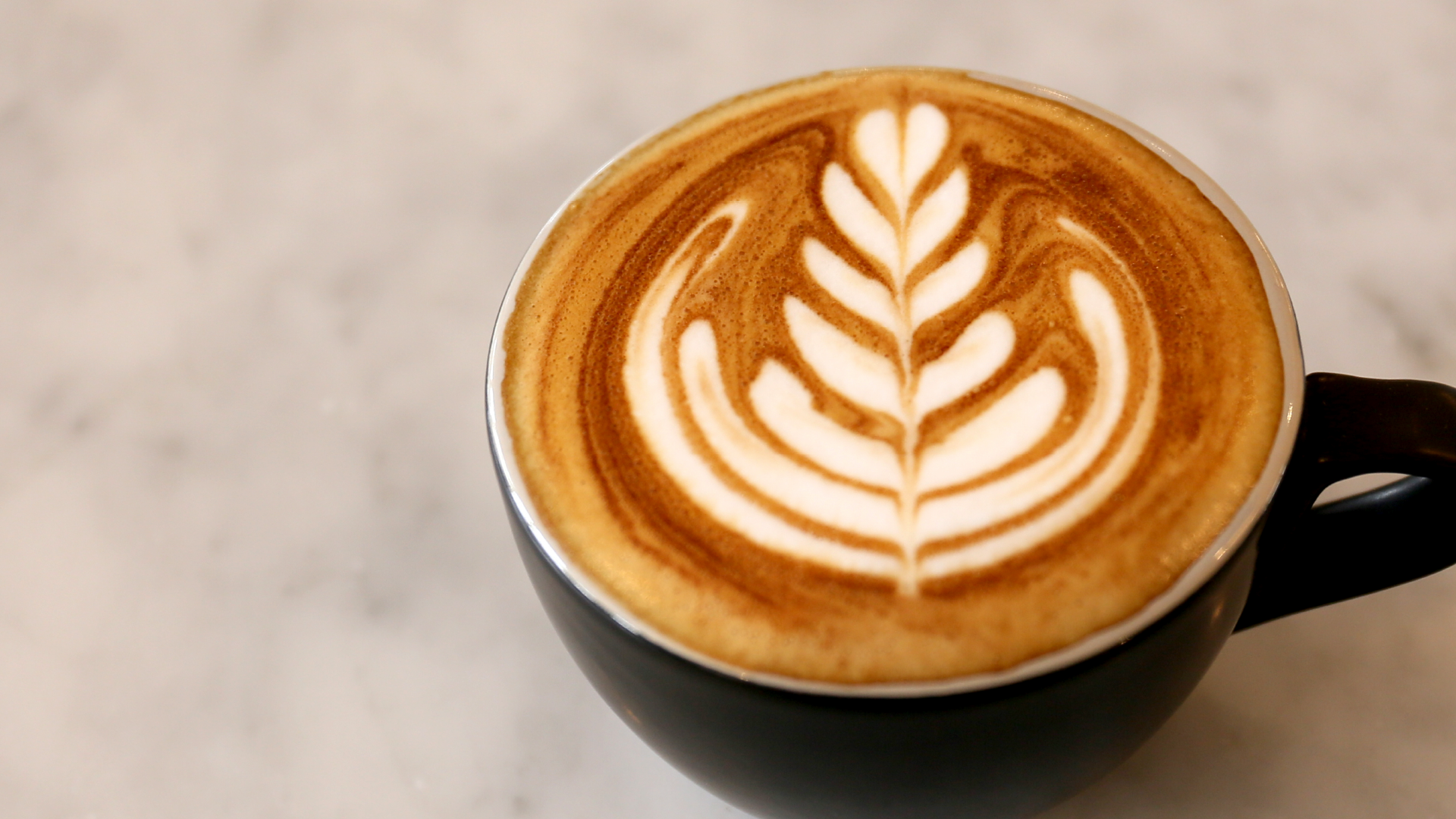 Archduke Coffee + Roastery